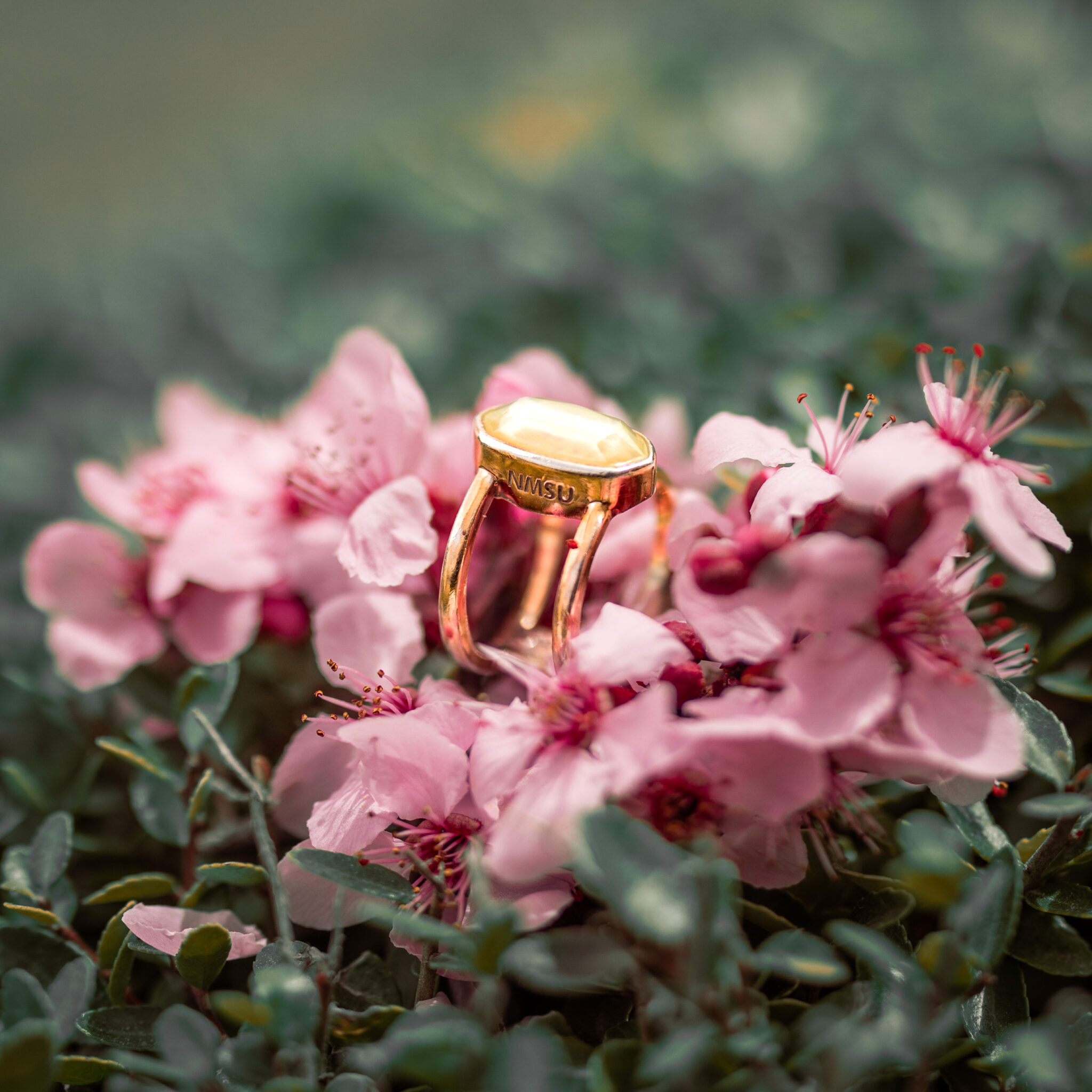 The NMSU Class Ring: A Shining Symbol of Aggie Pride | New Mexico State ...