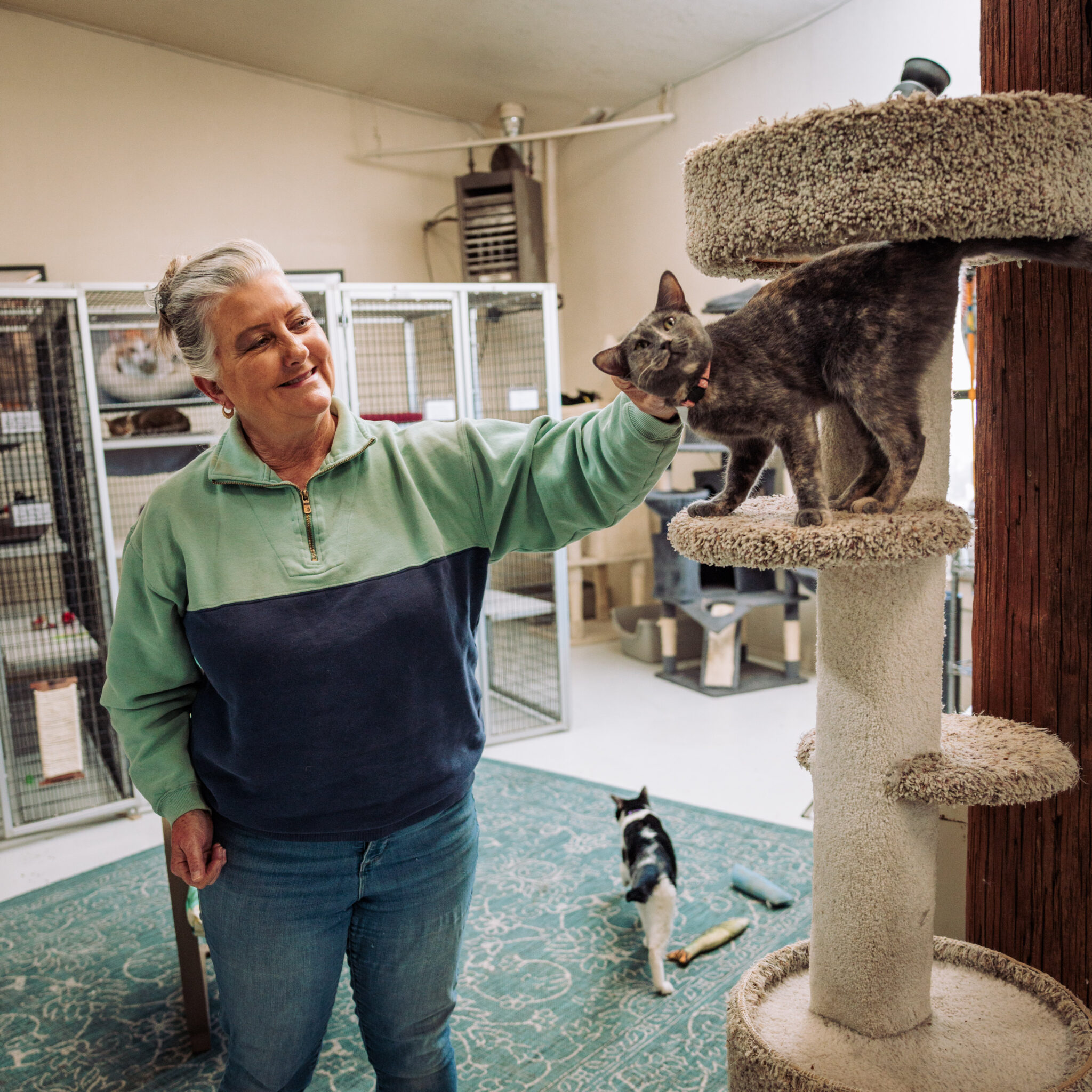 Michelle Corella ’87 | 20 Years of Making a Difference for Campus and ...